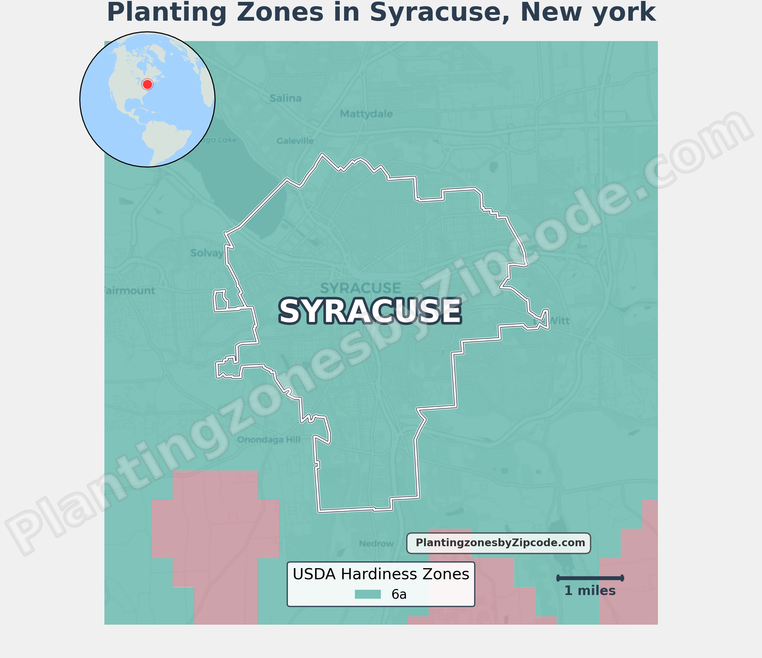 Zonens Syracuse
